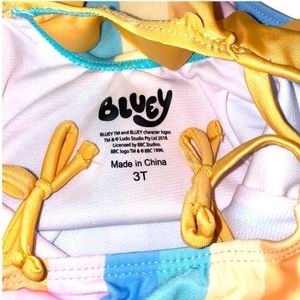 Swim | Bluey One Piece Swimsuit Disney Junior | Poshmark